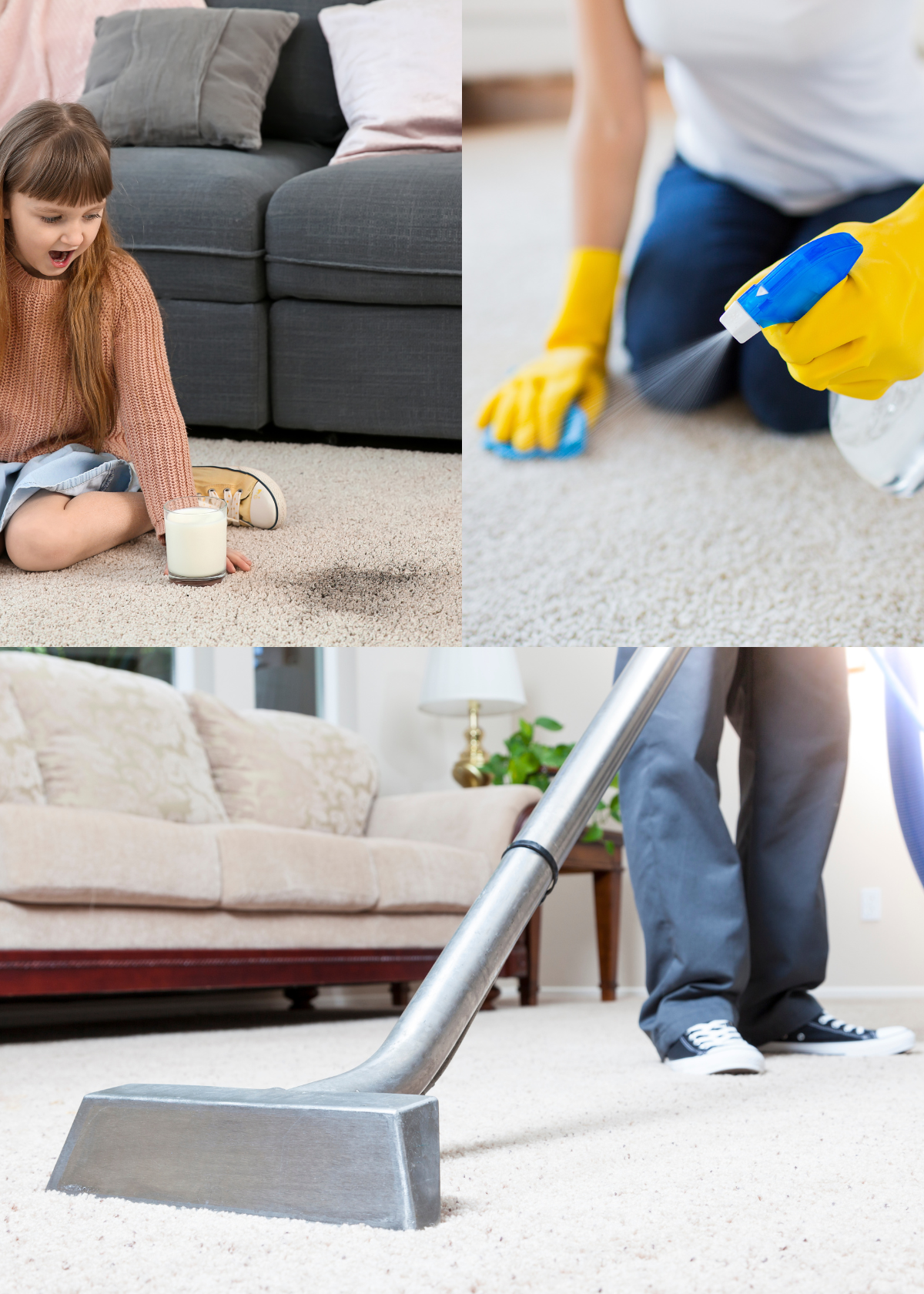 The Best Carpet Deodorizer Powder: Our Top 3 Picks