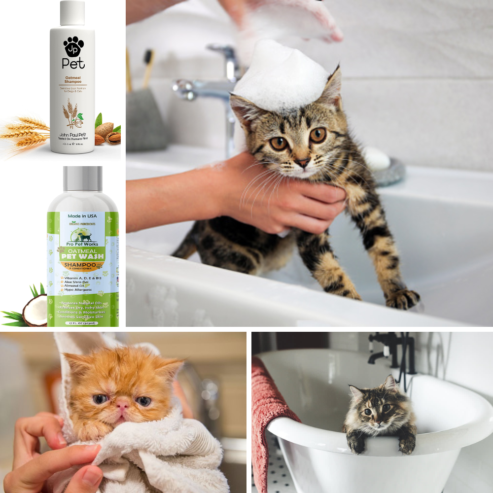 The Best Shampoo for Cats (And How to Choose the Right One) | SmartyKat