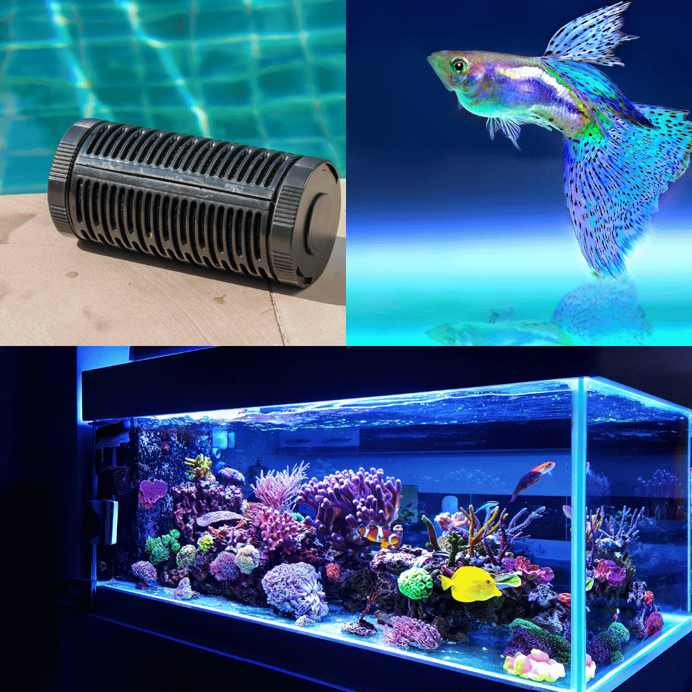Best Aquarium Filter