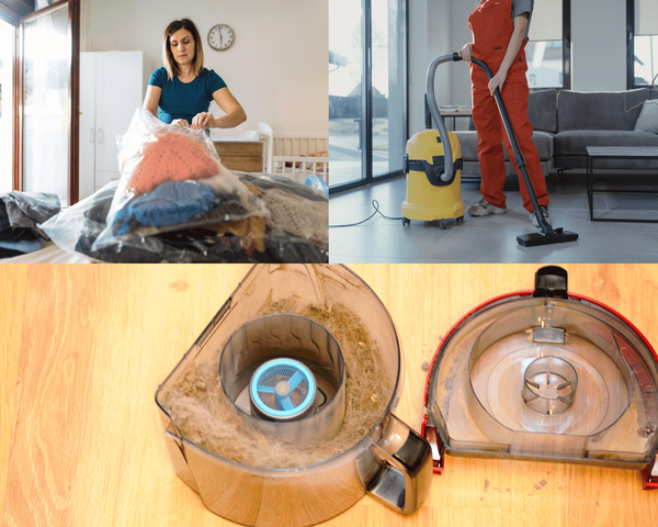 Best Bagged Vacuum Cleaners